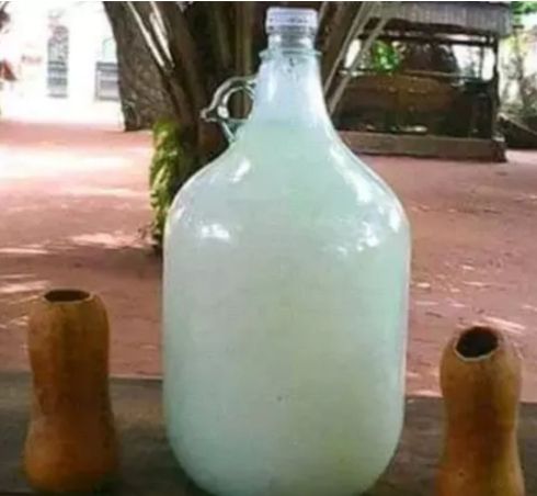 Spiritual Uses Of Alcohol And Palm wine In Ọdịnanị Igbo. – DIBIA ...