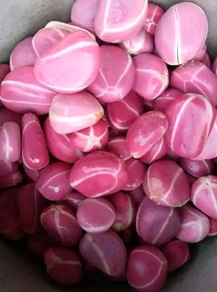 Ọjị Igbo And Its Significance In Ọdịnanị Igbo Spirituality. – DIBIA ...